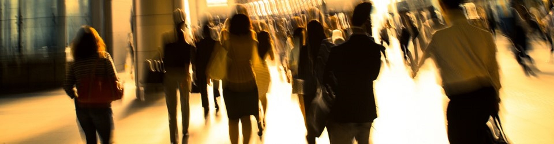 WebTOP2902x500 | gTOMO 合同会社